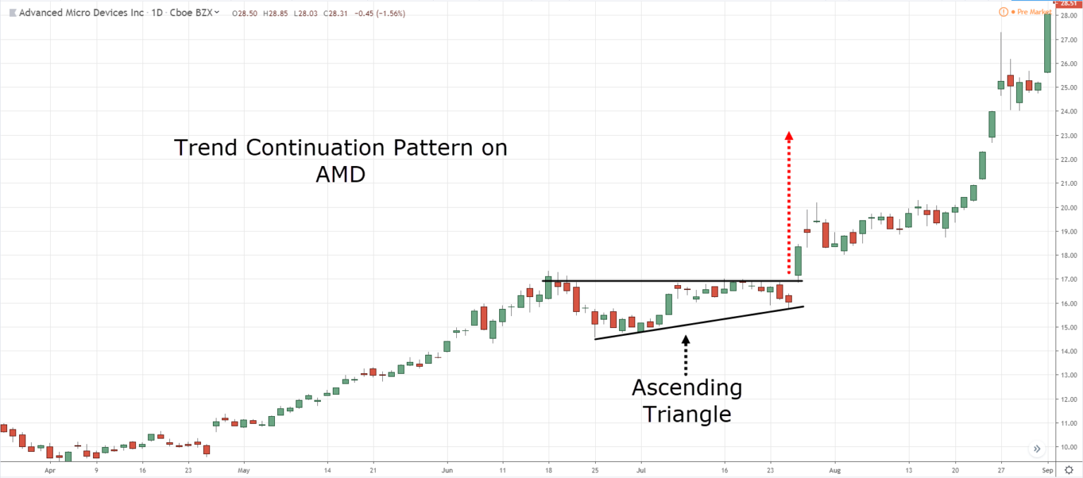 The Essential Guide to Momentum Trading