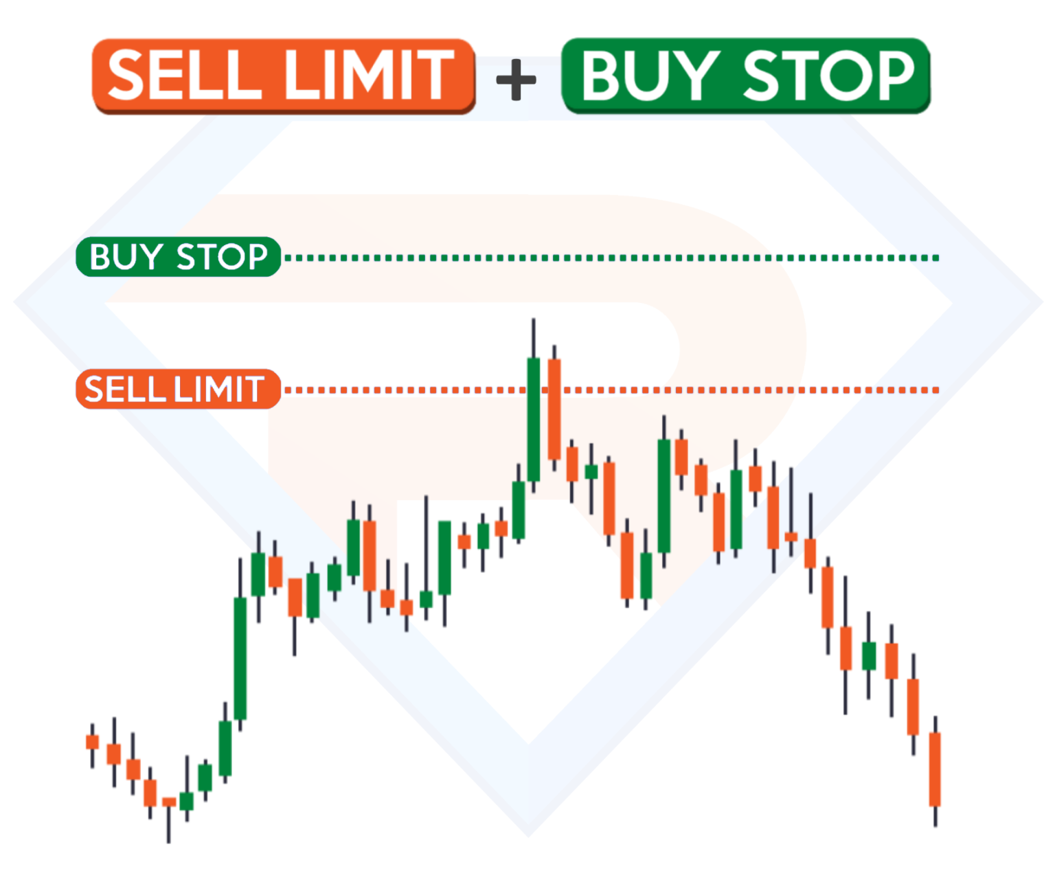 The Definitive Guide on How to Set a Stop Loss | TradingwithRayner