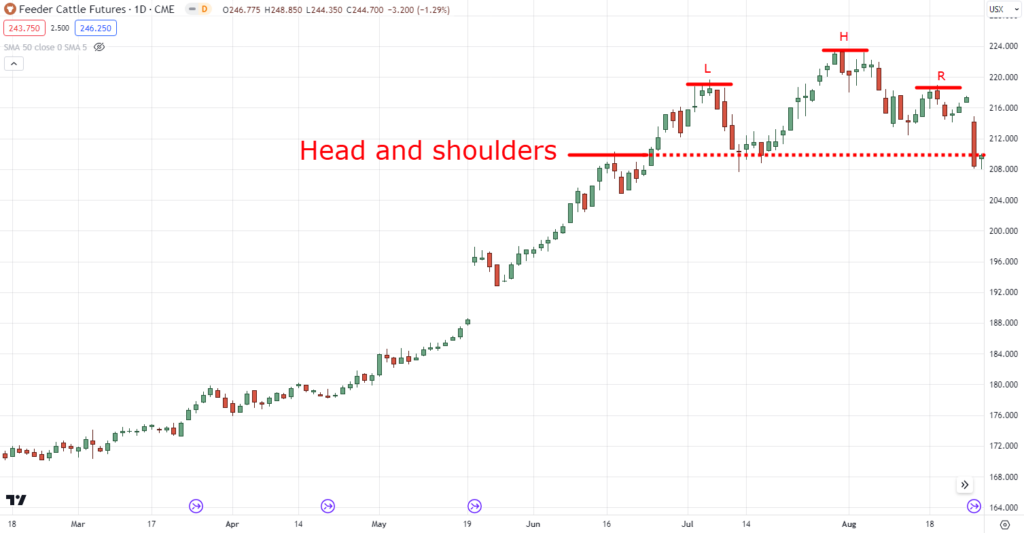 How to identify trend reversal patterns (an ultimate guide)