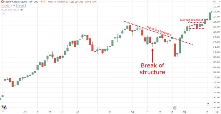 How to identify trend reversal patterns (an ultimate guide)