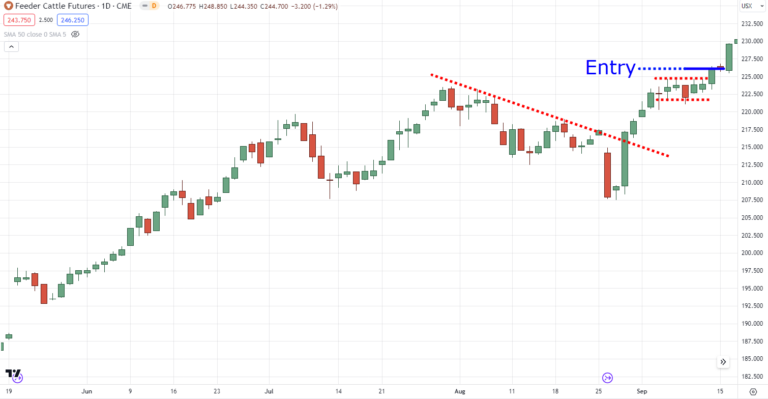 How to identify trend reversal patterns (an ultimate guide)