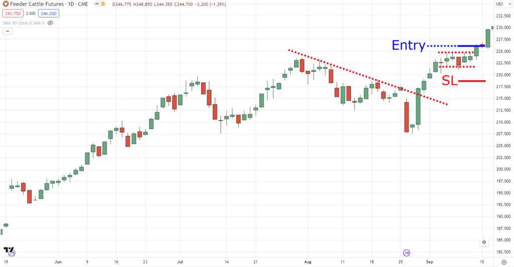 How to identify trend reversal patterns (an ultimate guide)