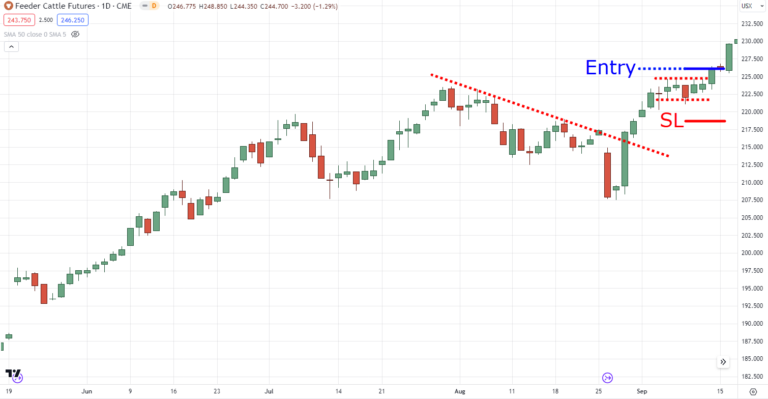 How to identify trend reversal patterns (an ultimate guide)