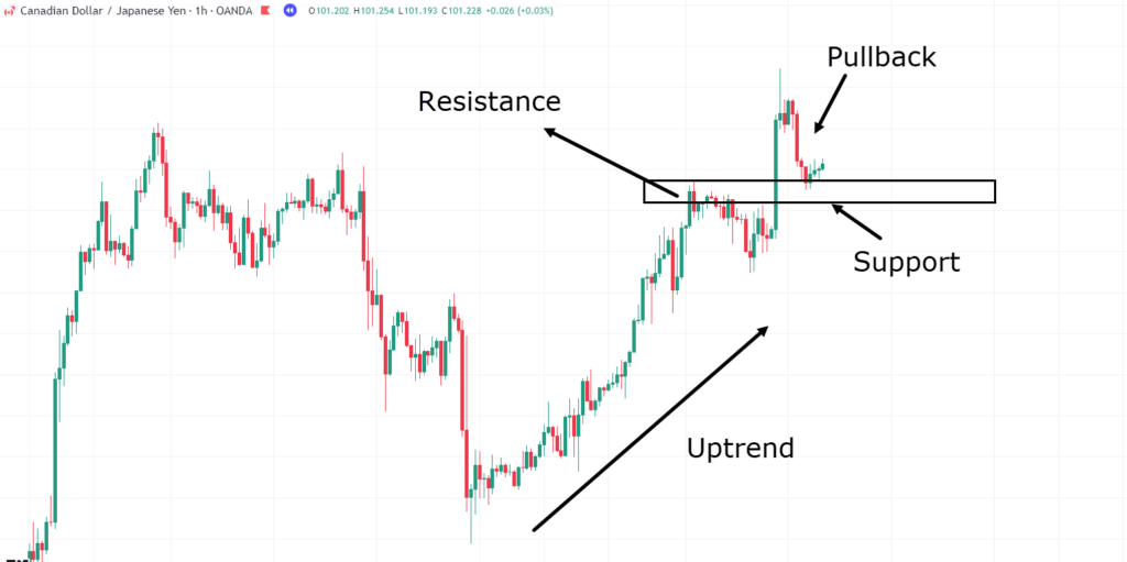 The Complete Guide To Tweezer Bottom Pattern | TradingwithRayner