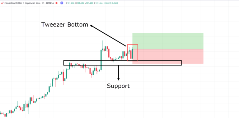 The Complete Guide To Tweezer Bottom Pattern | TradingwithRayner